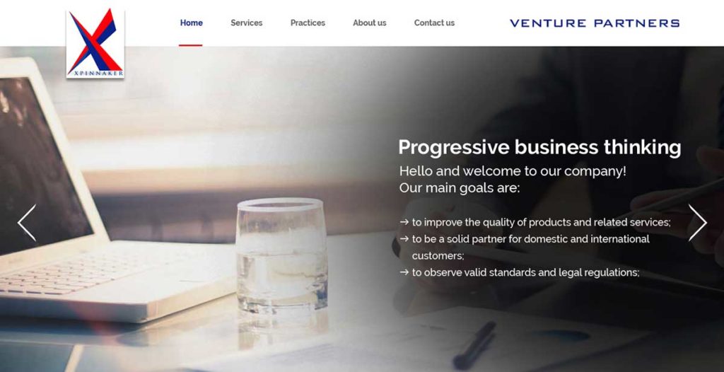 Basic Simple Information Website - LogoWhirl